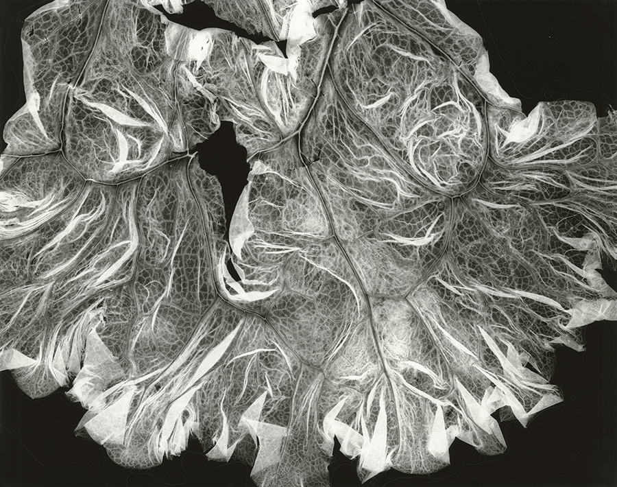 July 21st – August 10th, 2017- Tracey Haynes- Change is the Only ...